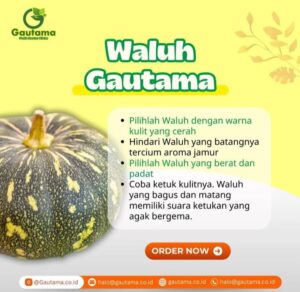 Olahan Waluh yang Cocok dengan Kualitas Waluh Indonesia - Gautama